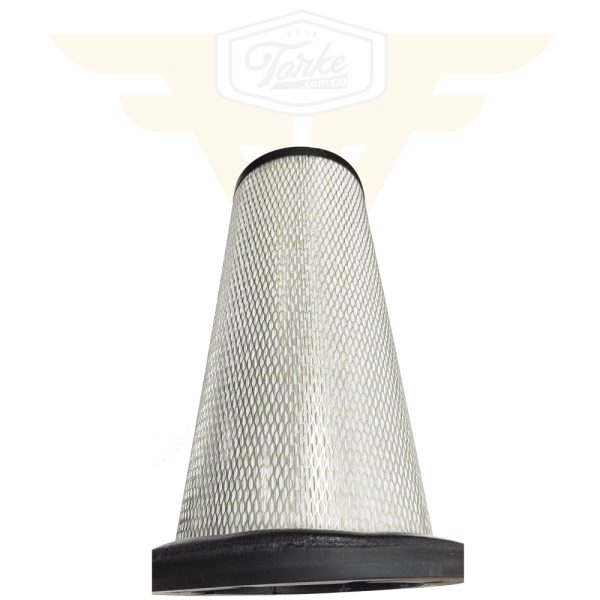 49089 FILTRO DE AIRE SEGURIDAD P629470 | Torke